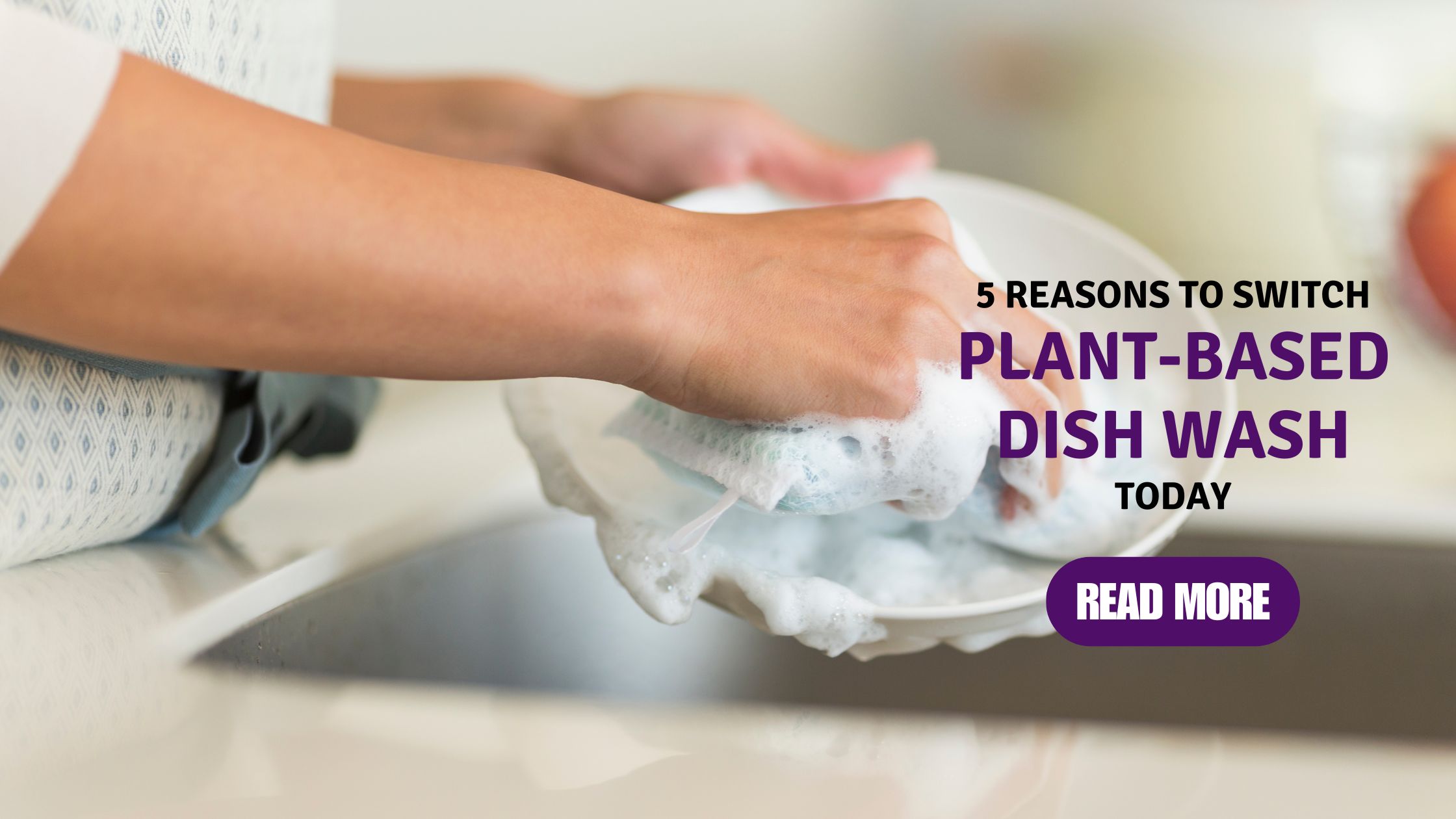 5 Reasons to Switch to Plant-Based Dish Wash Today - DakshLeela
